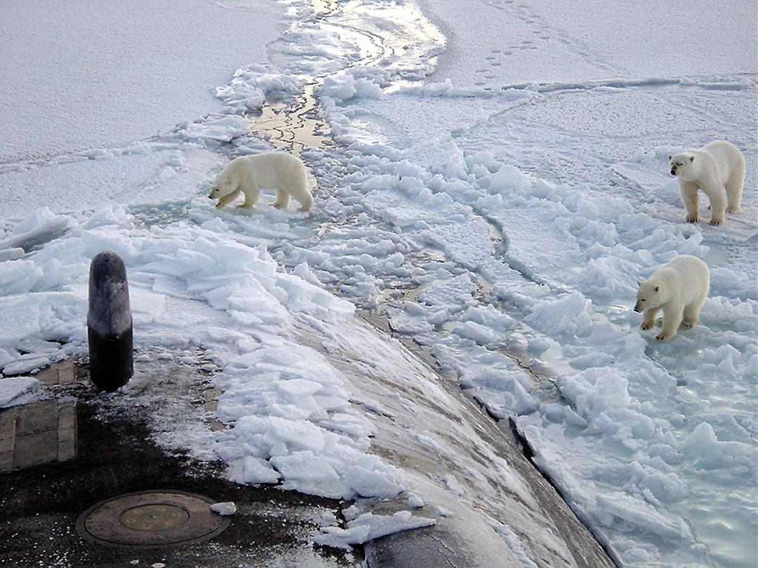 Arctic communities - WWF Arctic