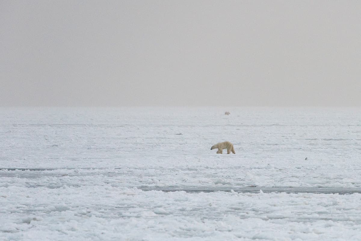 Thawing permafrost - WWF Arctic
